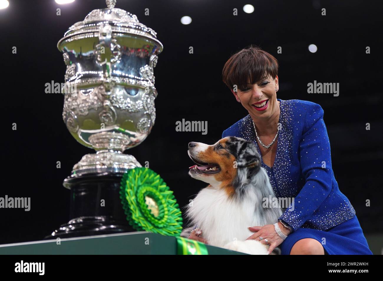 Viking, ein australischer Schäferhund, Miteigentümer von Melanie ...