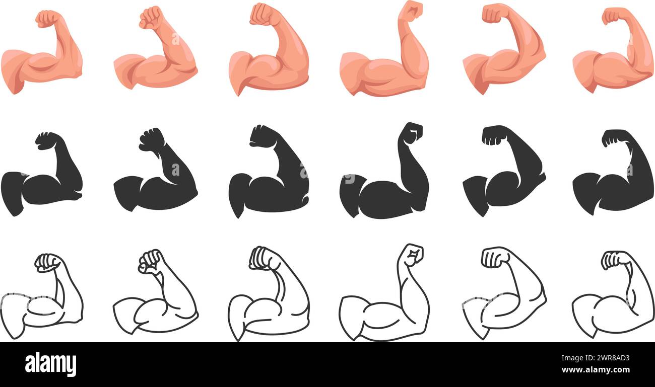 Anatomie des muscles masculins Stock-Vektorgrafiken kaufen - Alamy