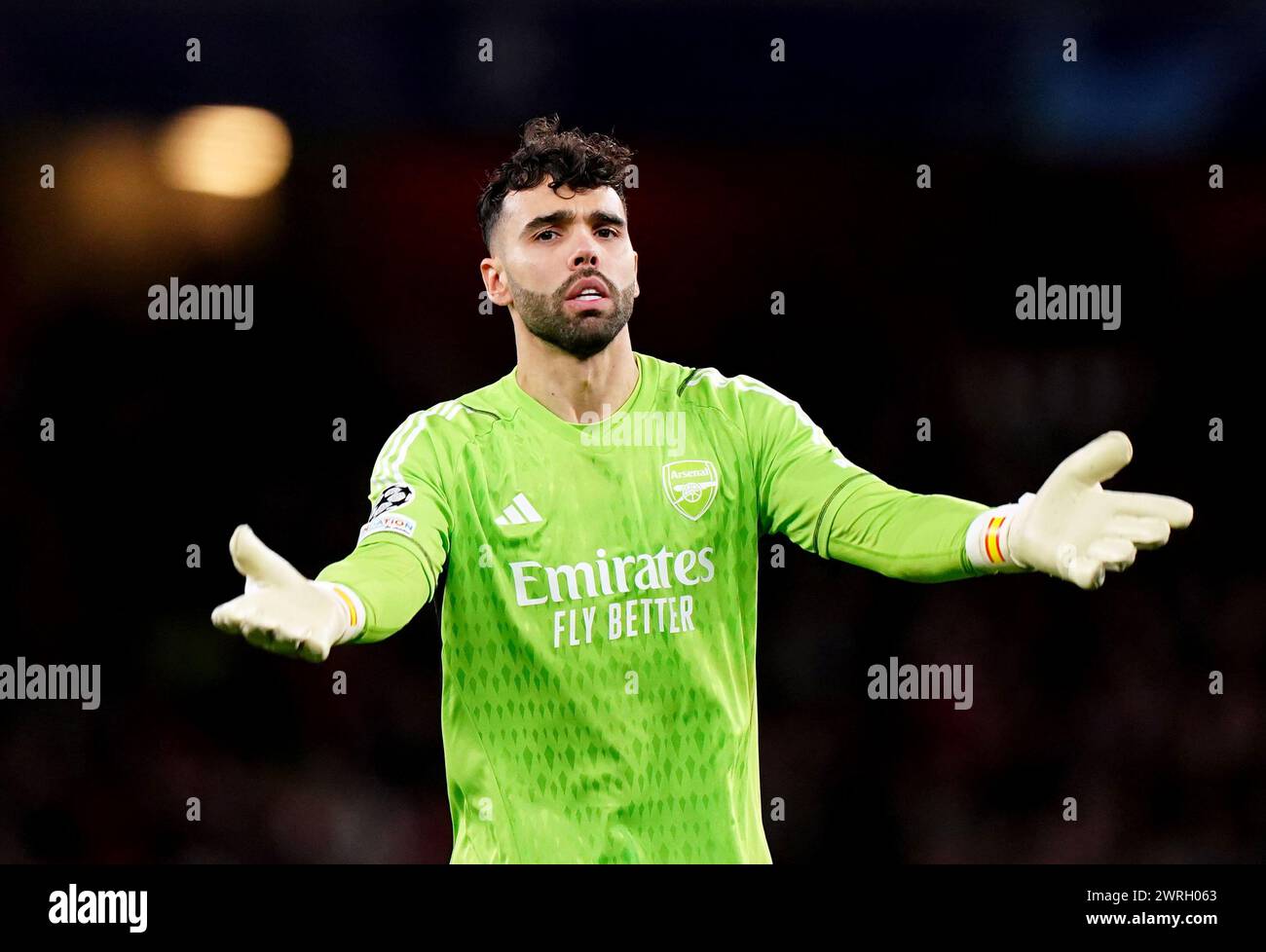 David raya 2024 -Fotos und -Bildmaterial in hoher Auflösung – Alamy