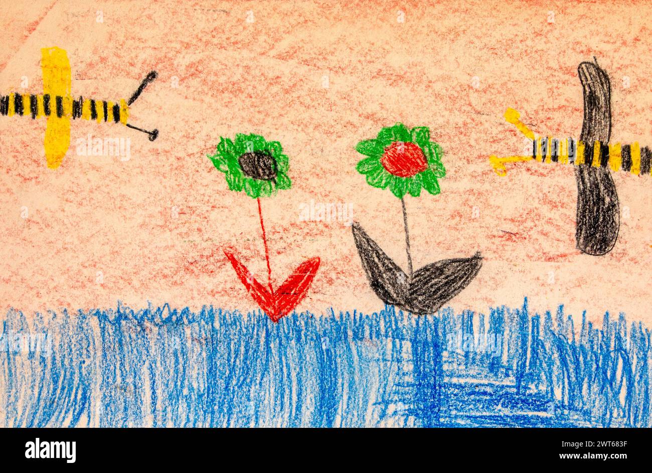 Insekten zeichnung -Fotos und -Bildmaterial in hoher Auflösung – Alamy