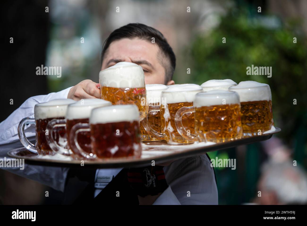 ÖSTERREICH; WIEN; 20240315; Kellner tragen am 15. März 2024 Tableaus ...