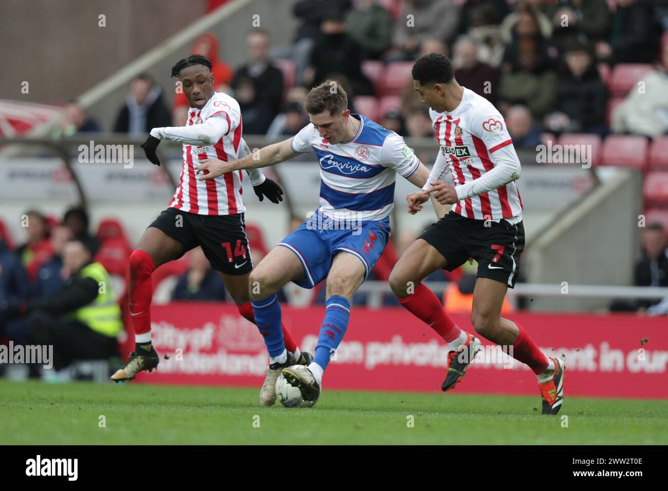 Jimmy Dunne von Queens Park Rangers Battles Jobe Bellingham aus ...