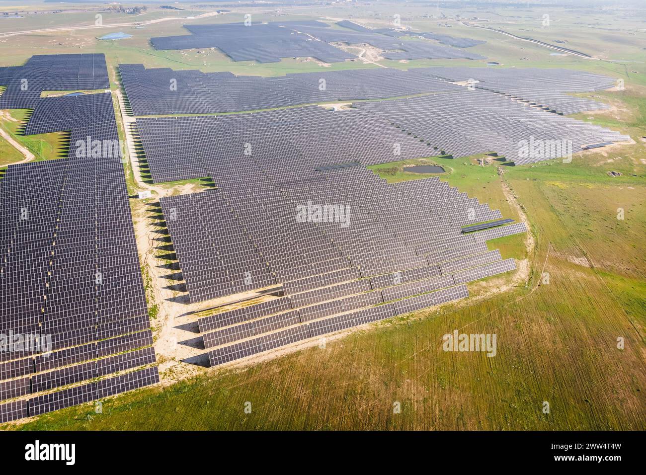 Von oben ist ein großes Feld von Solarpaneelen dargestellt. Die Panels ...