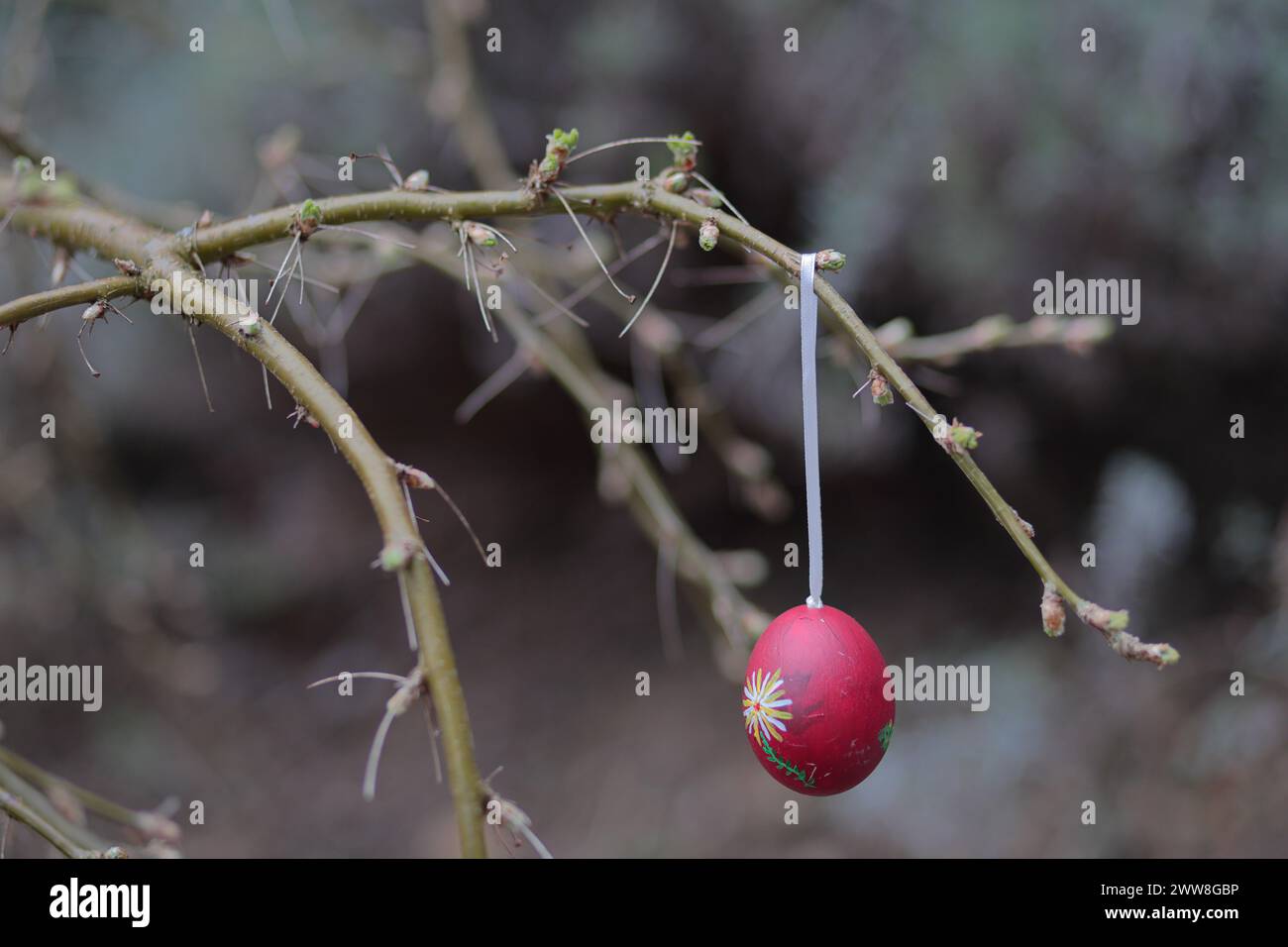 Gemaltes ei -Fotos und -Bildmaterial in hoher Auflösung – Alamy