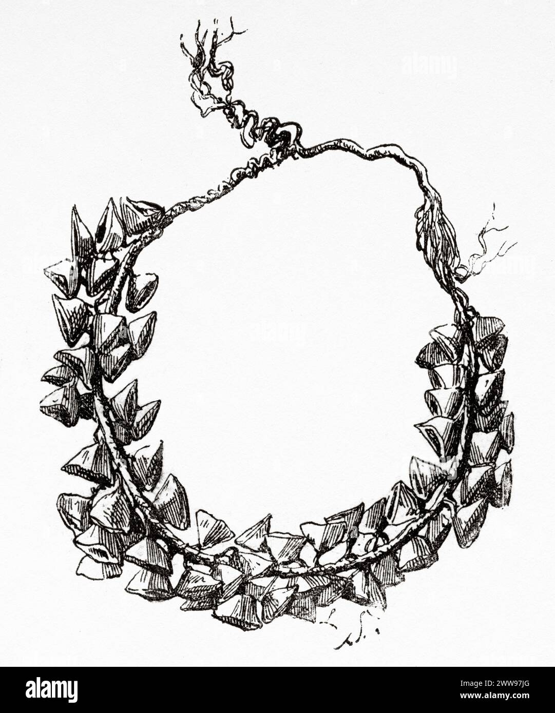 Wayana indianerstamm -Fotos und -Bildmaterial in hoher Auflösung – Alamy