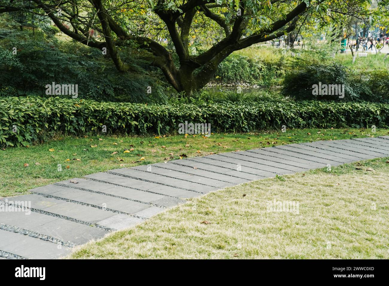 Gehweg und Busch und Baum. Das ist Betonpflaster, Boden, Weg, Fußweg ...