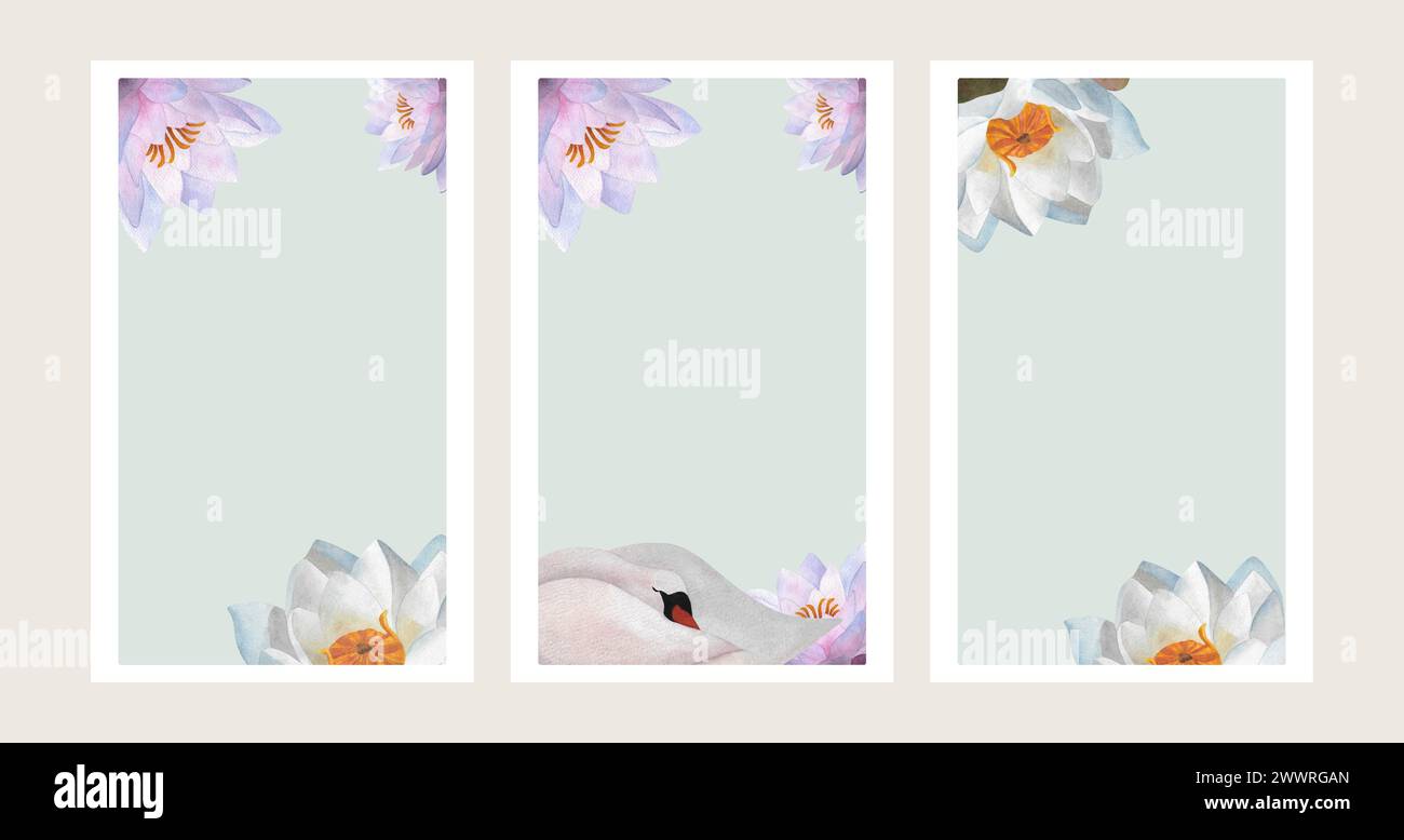 Schwanenhochzeit 2024 -Fotos und -Bildmaterial in hoher Auflösung – Alamy