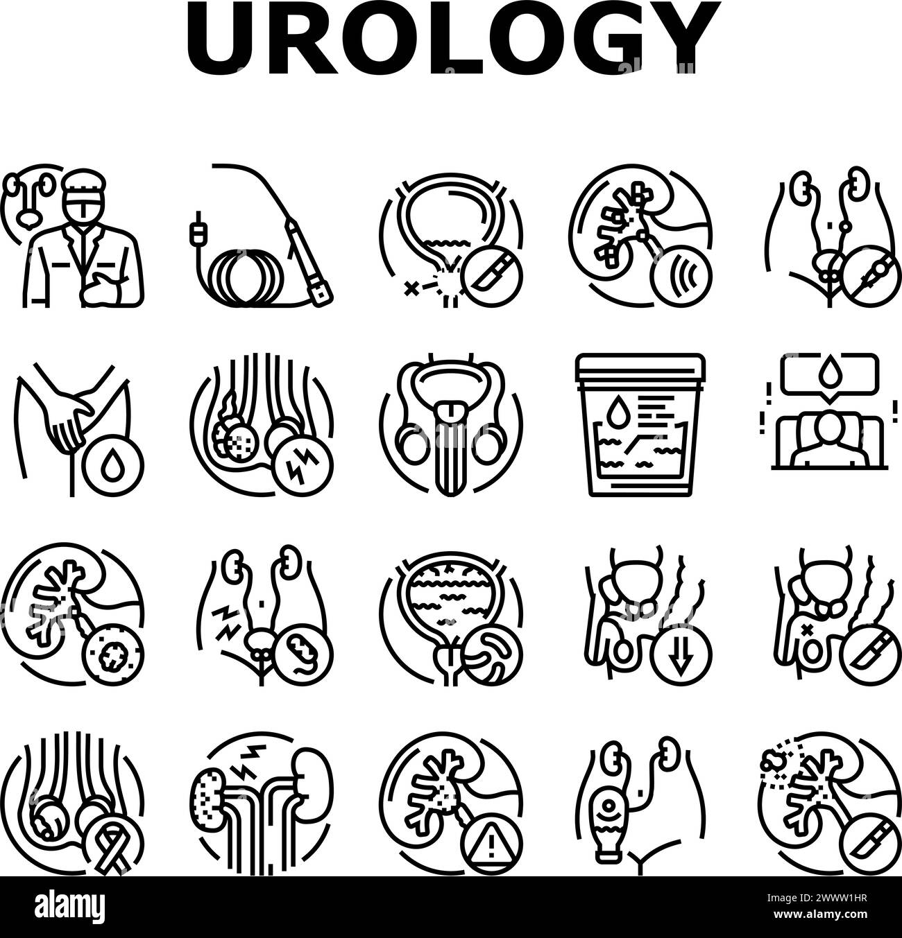 Die harnblase und die prostata Ausgeschnittene Stockfotos und -bilder ...