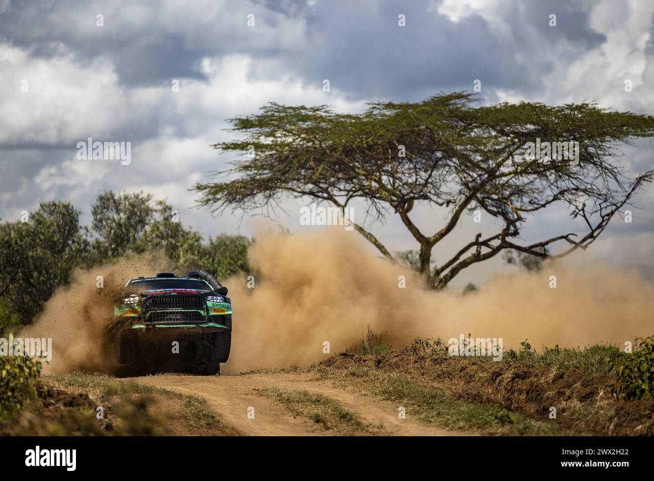 22 GREENSMITH Gus, ANDERSSON Jonas, Skoda Fabia RS Rally2, Aktion ...