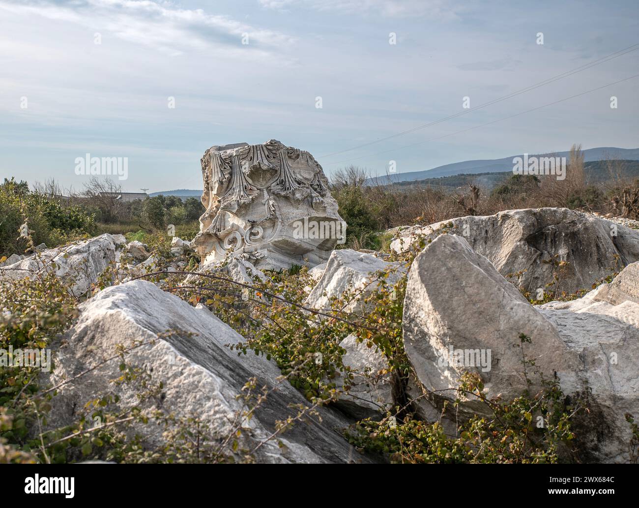 In der griechischen Mythologie hielten die Argonauten, die aus ...