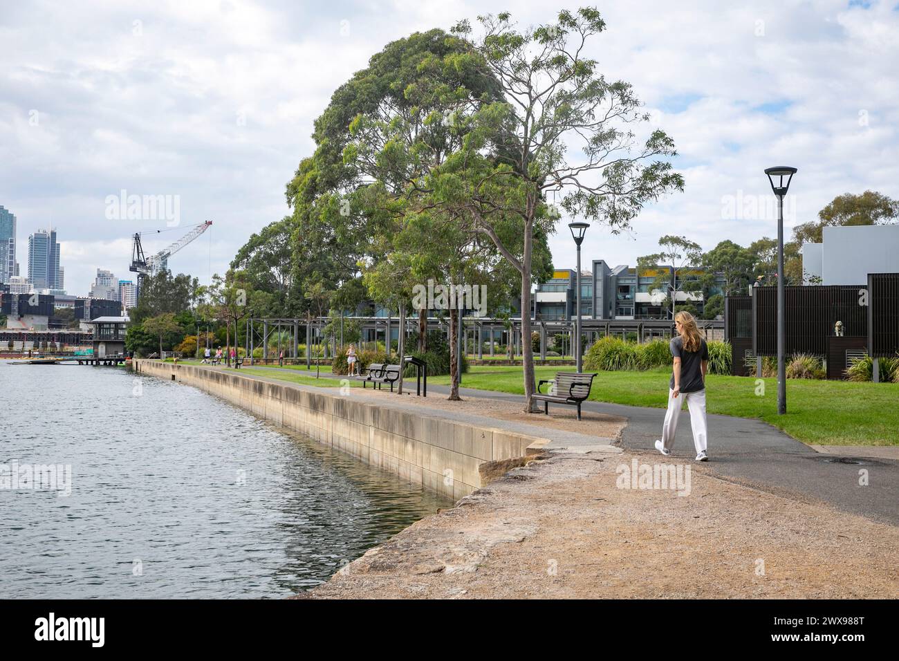 Küstenvorland der blackwattle bay -Fotos und -Bildmaterial in hoher ...
