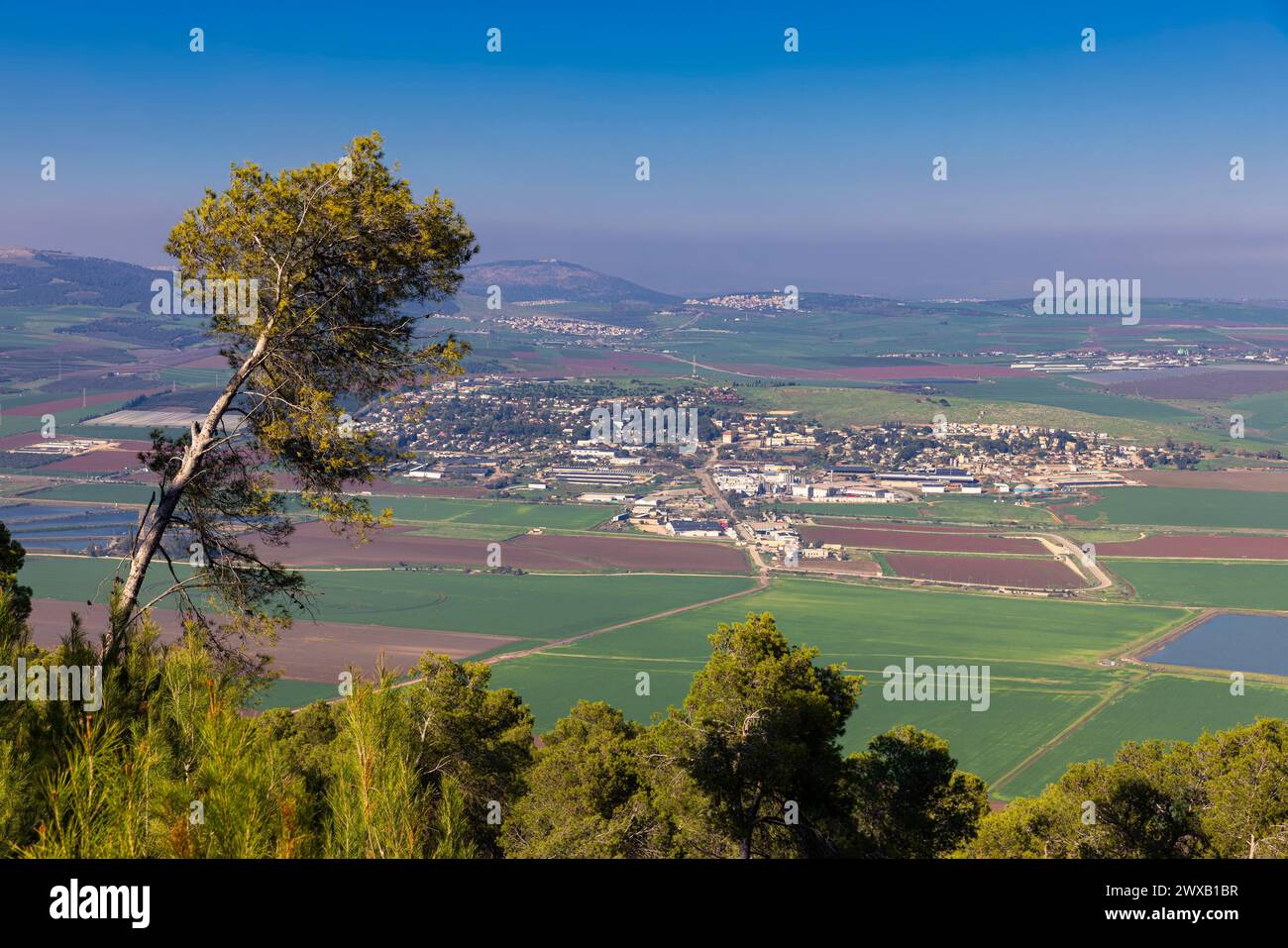Blick vom Mount Gilboa auf das Emek HaMaayanot-Tal im Frühling ...