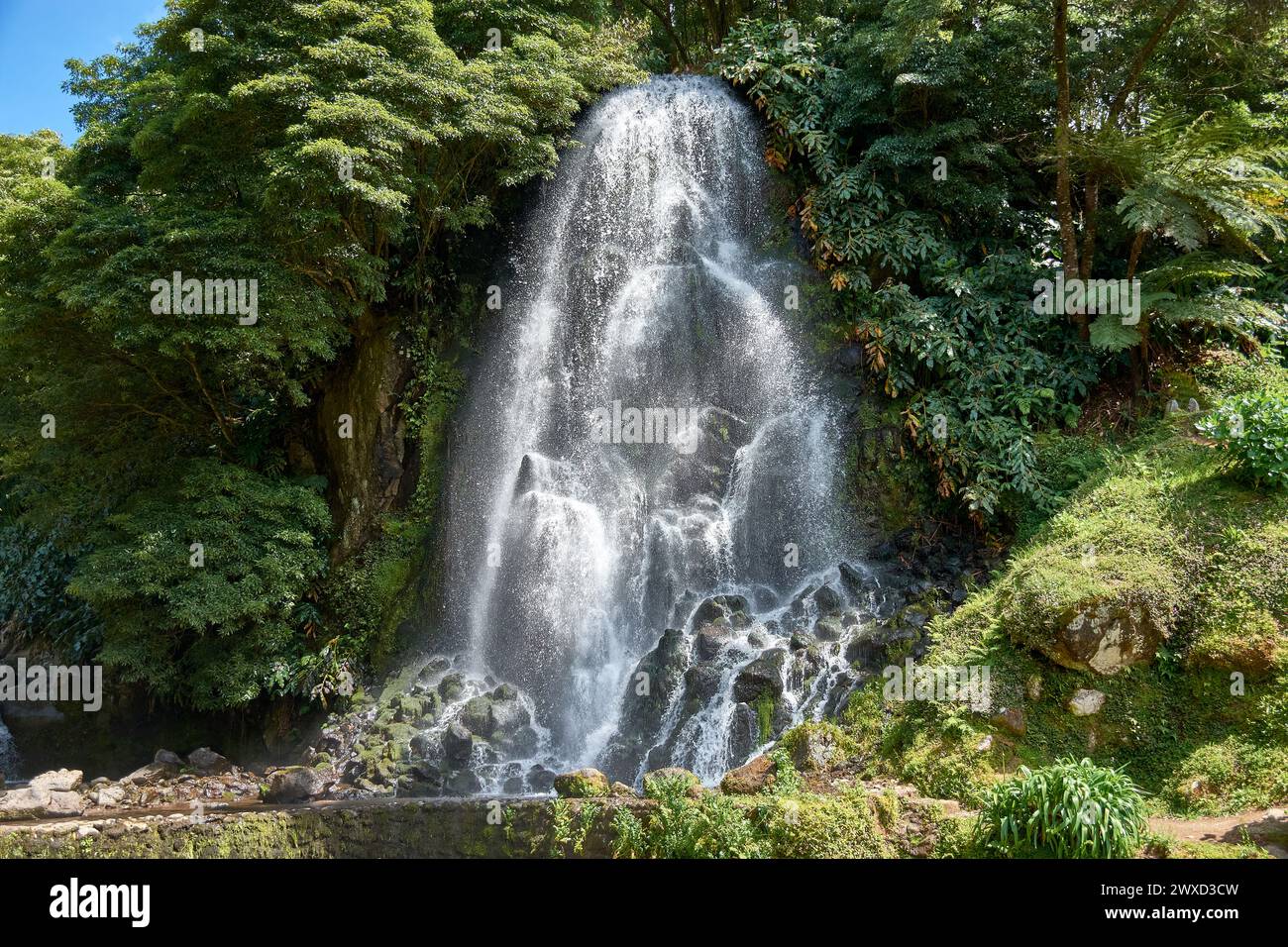 Wasserfall am Parque Natural da Ribeira Dos Caldeiroes, Sao Miguel ...
