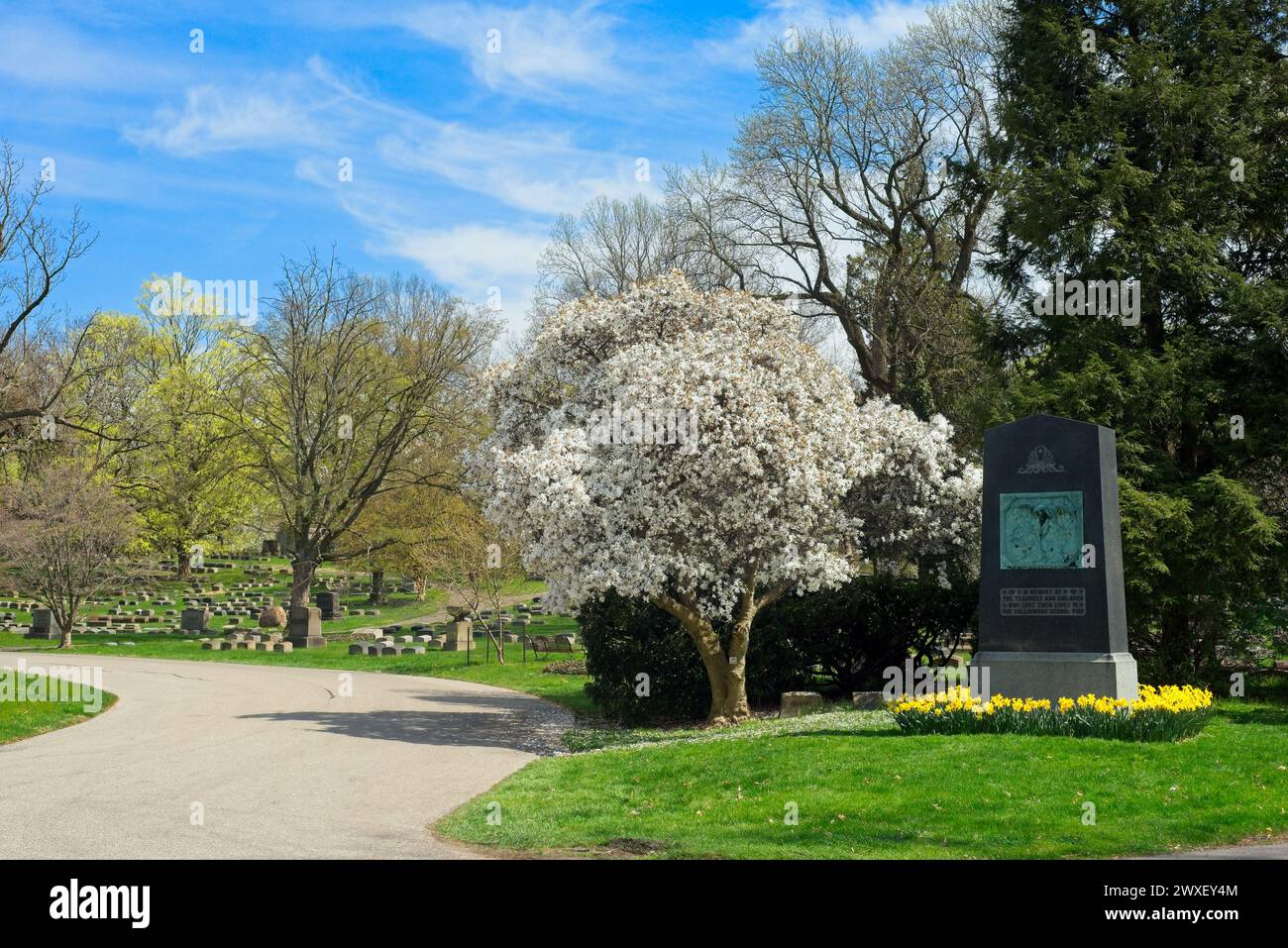 Cartello stradale con narcisi -Fotos und -Bildmaterial in hoher ...