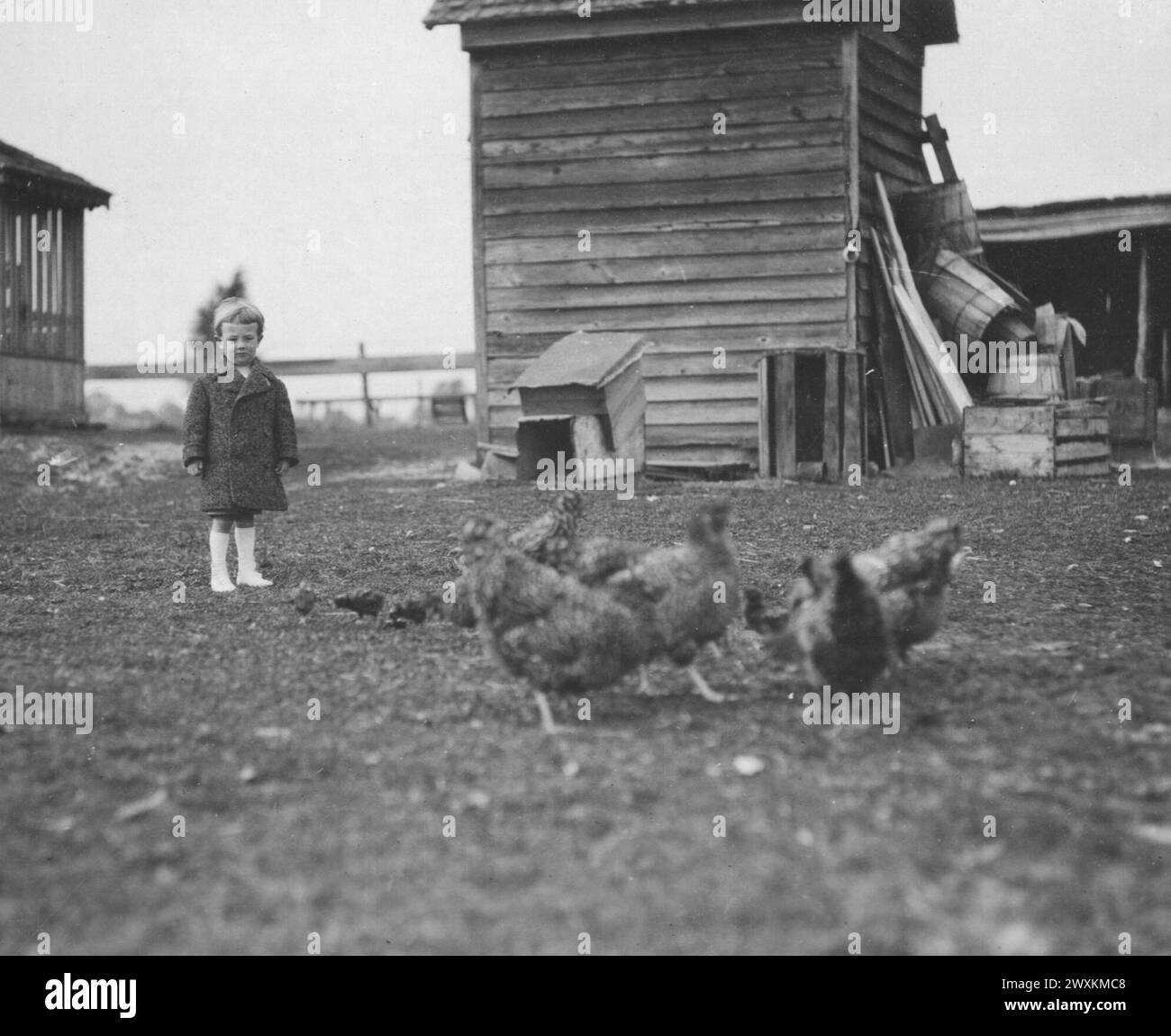 Ein kleines Kind, das Hühner in einem Scheunenhof ansieht. 1918 ...