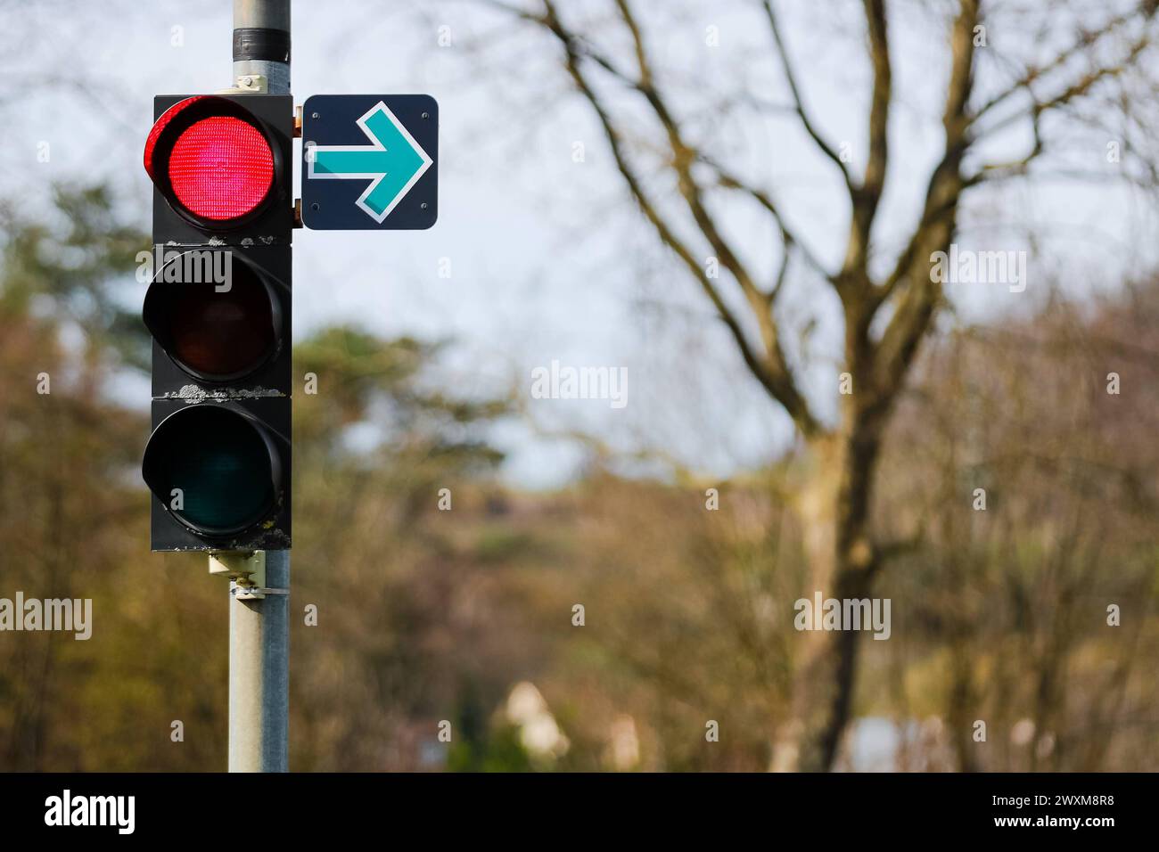 Rotlicht Ampel mit gruenem Pfeil, Symbolbild für Verkehr ...