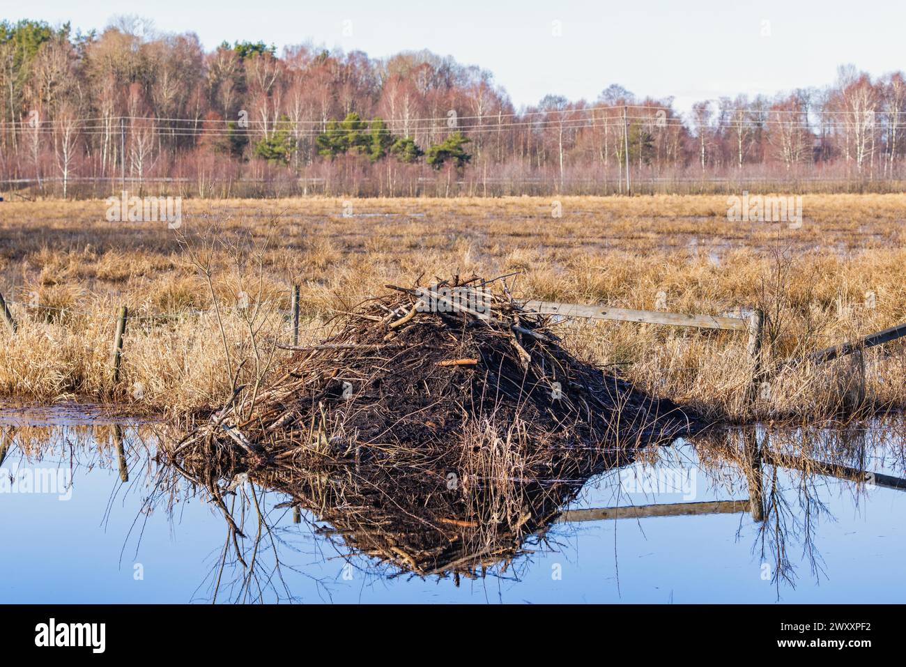 Beaver castle -Fotos und -Bildmaterial in hoher Auflösung – Alamy