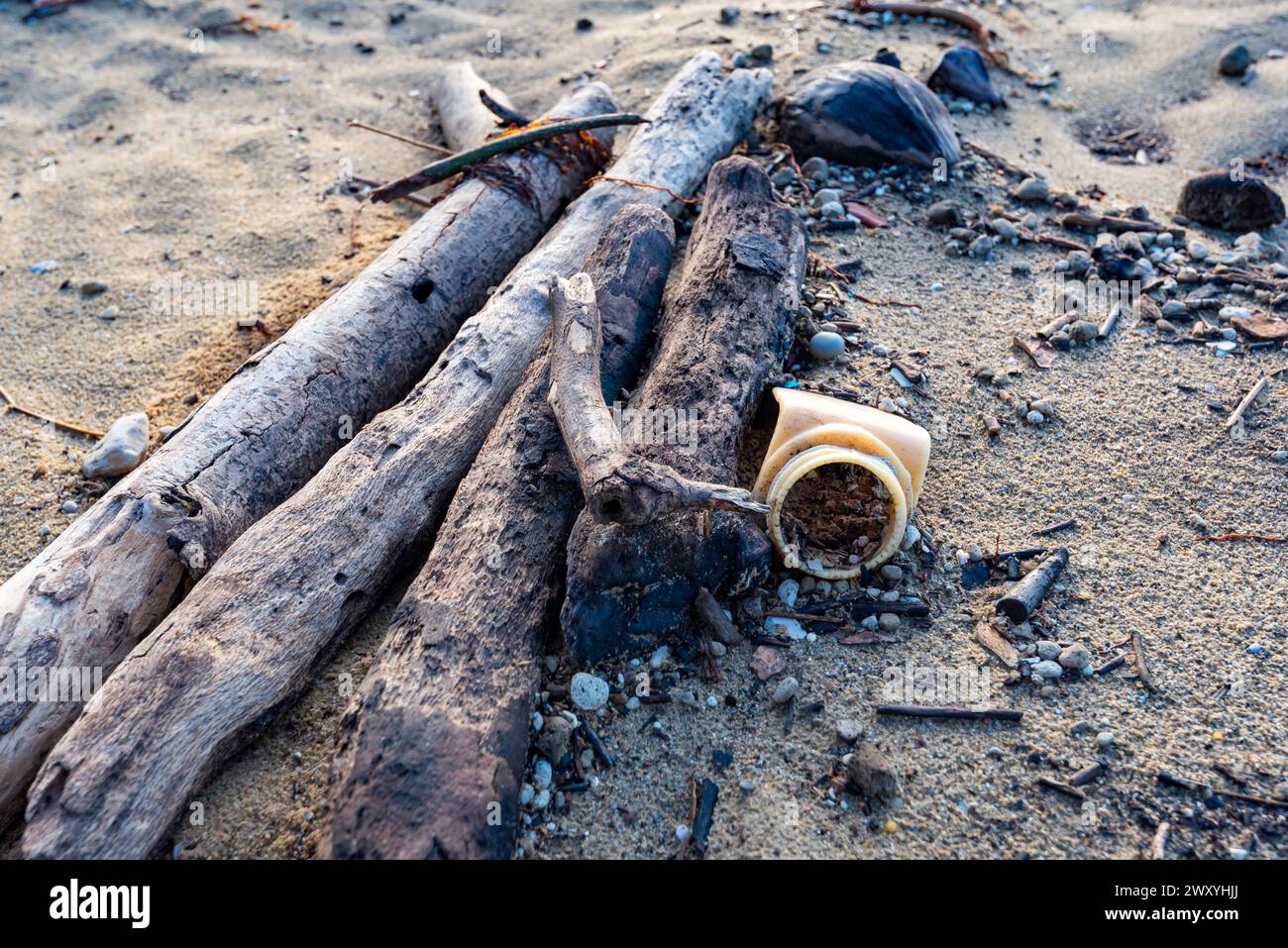 Plastik plastik im treibholz gefangen -Fotos und -Bildmaterial in hoher ...