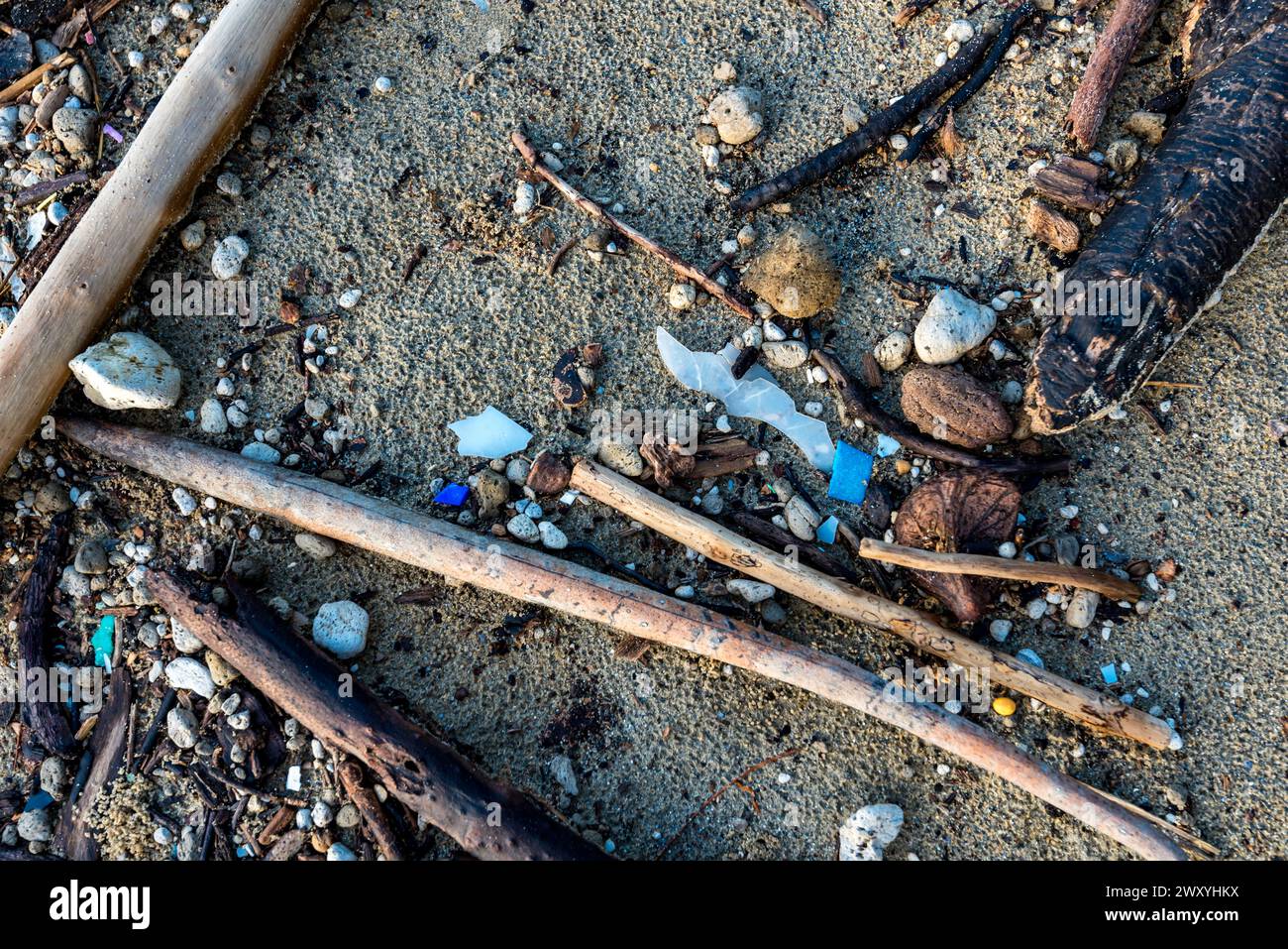 Die Plastikverschmutzung am Wonga Beach in Far North Queensland ...