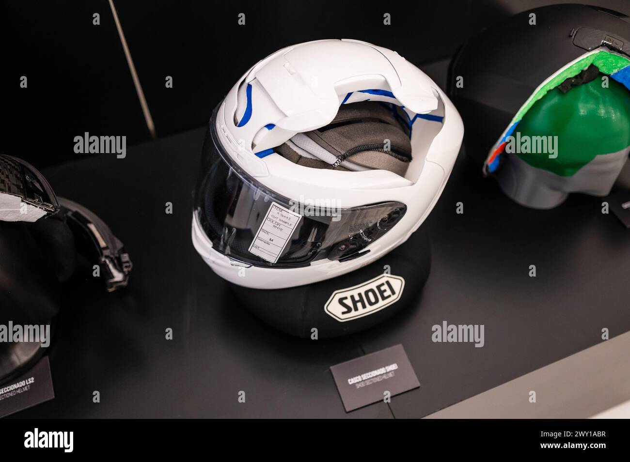 Disegni di anatomia -Fotos und -Bildmaterial in hoher Auflösung – Alamy