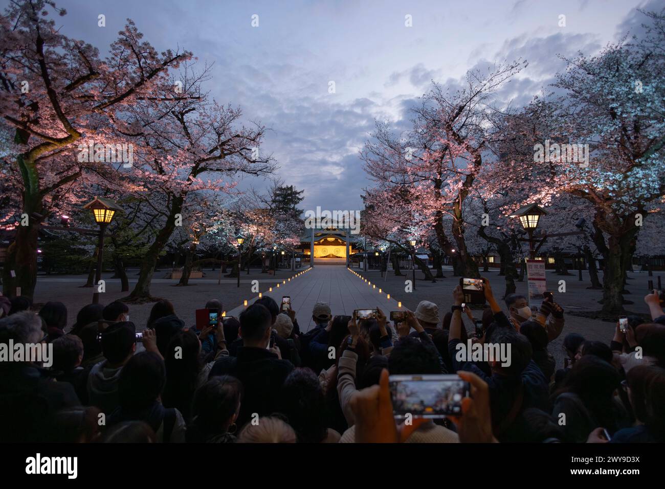 Tokio, Japan. April 2024. Besucher des Yasukuni-Schreins machen Fotos ...
