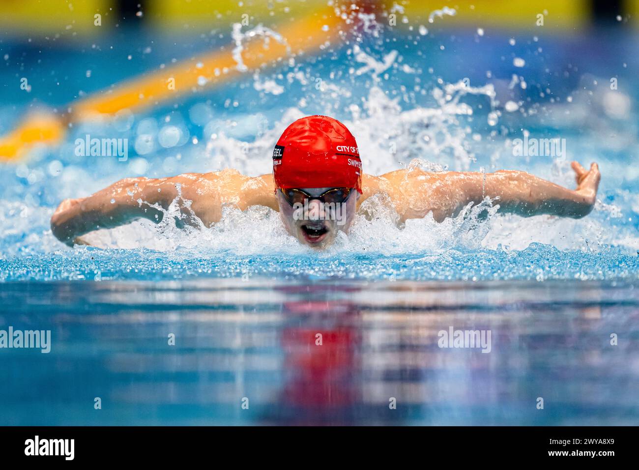 Die speedo aquatics gb schwimmmeisterschaften 2024 tag 4 -Fotos und ...