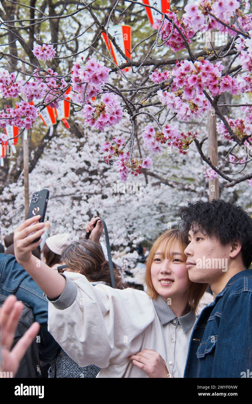 Tokio, Japan. April 2024. Am Samstag, den 6. April 2024, machen die Menschen Fotos von ...