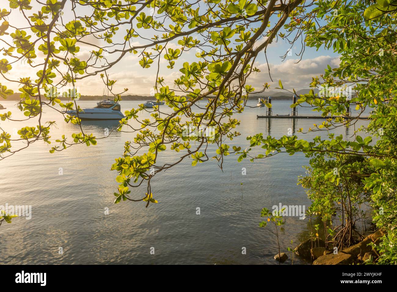 Die Boote legten am späten Nachmittag an der Mündung des Endeavour ...