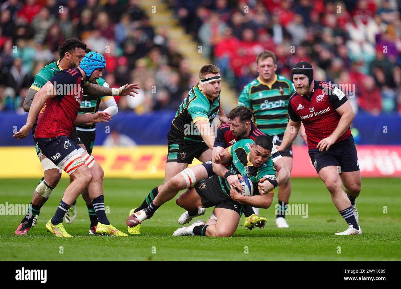 Sam Matavesi der Northampton Saints wird von Munsters Thomas Ahern ...