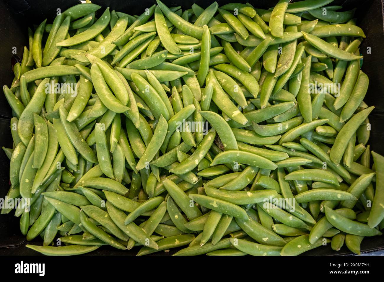 Saftige bohnen -Fotos und -Bildmaterial in hoher Auflösung – Alamy