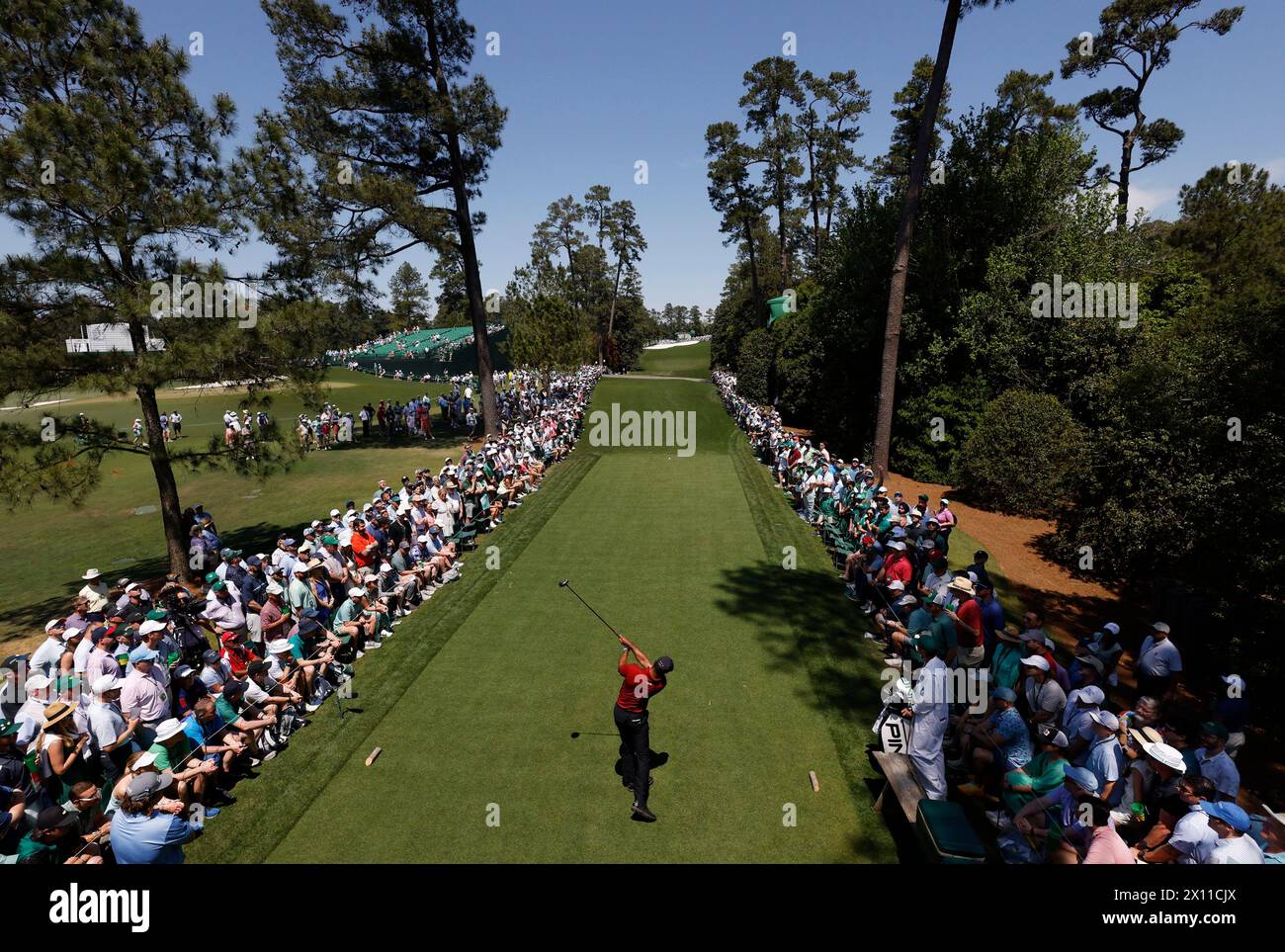 Augusta, Usa. April 2024. Tiger Woods trifft seinen Abschlag auf das 18 ...