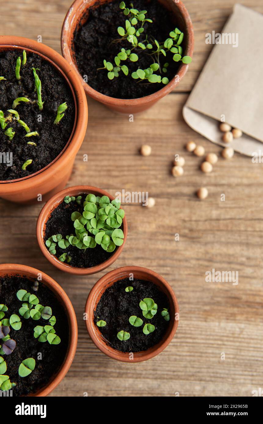 Ackerbau ackerbau anbauen anbauen anbau anbauen anbauen anbauen anbauen ...