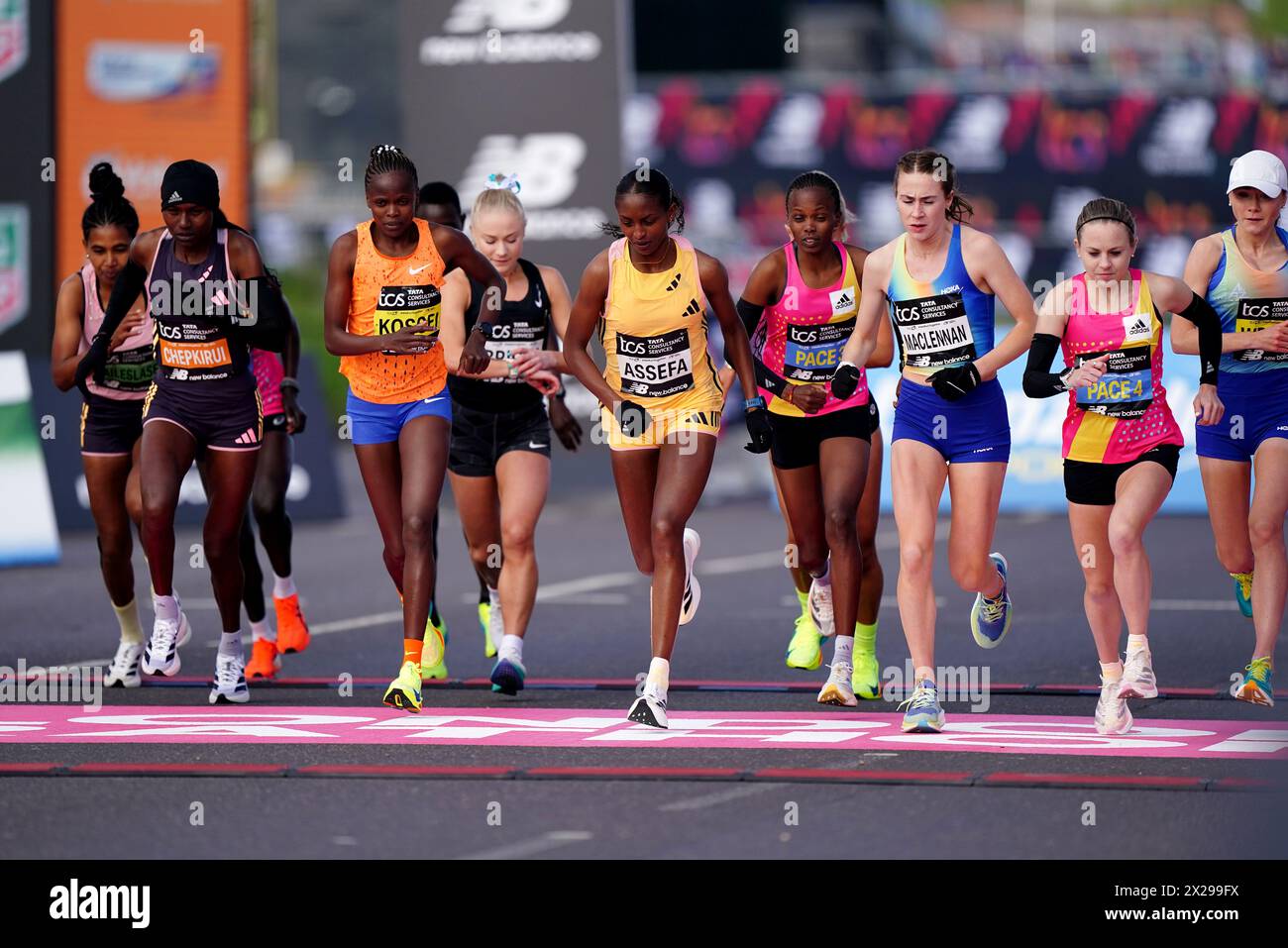 Lphli pa2024 pa2024 pa2024 pa2024 pa2024 pa2024 pa2024 pa2024 pa2024 ...