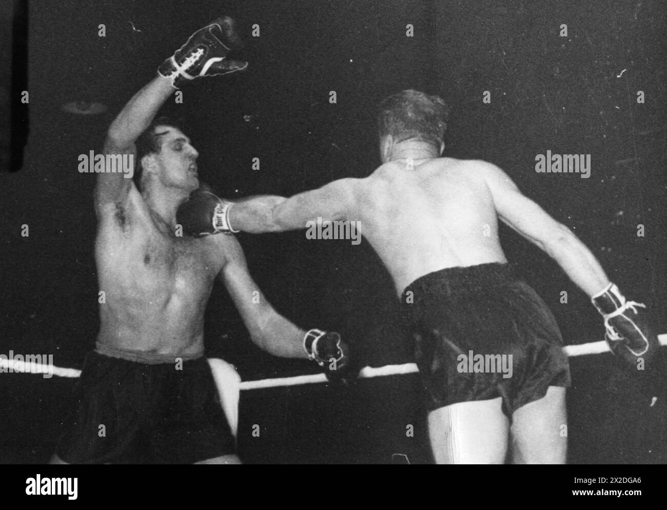 Karel sys -Fotos und -Bildmaterial in hoher Auflösung – Alamy