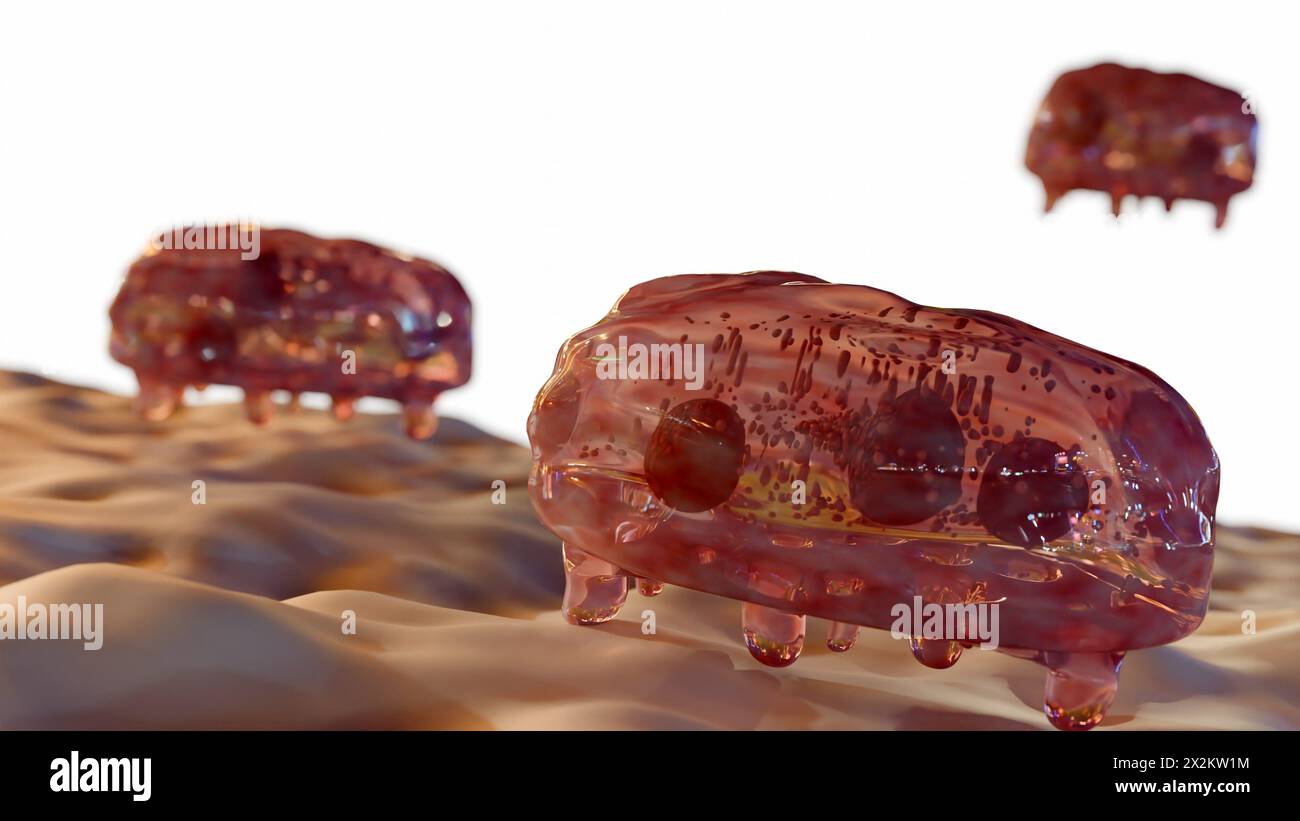 Osteoklasten knochenzellen -Fotos und -Bildmaterial in hoher Auflösung ...