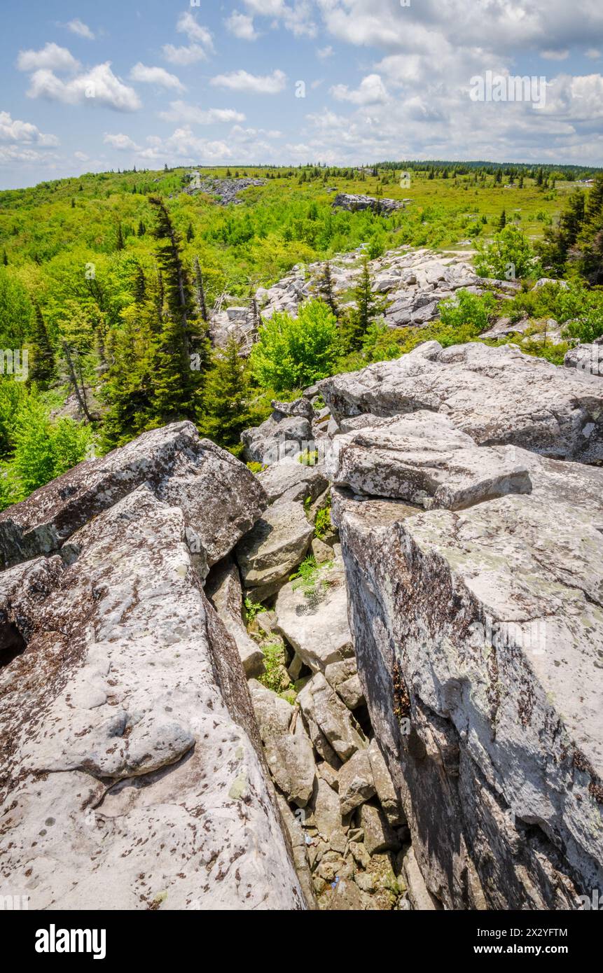 Im Bear Rocks Preserve, Nature Preserve in West Virginia, USA, gibt es ...