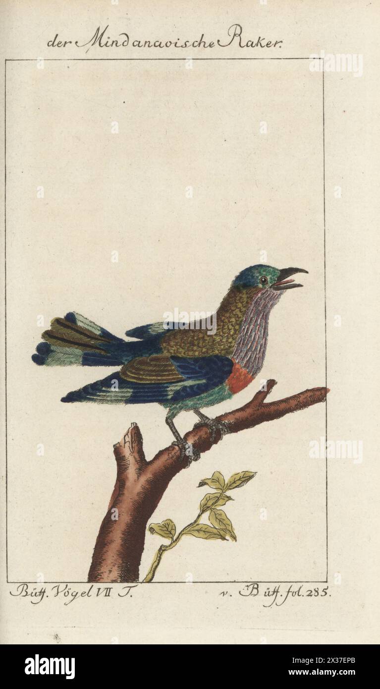 Rollier von mindanao -Fotos und -Bildmaterial in hoher Auflösung – Alamy