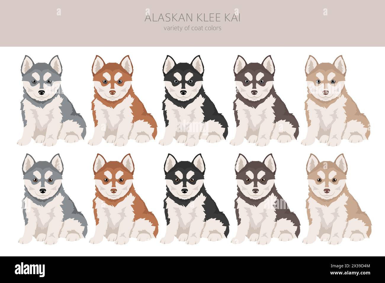 Hund mit augen verschiedenen farben Stock-Vektorgrafiken kaufen - Alamy