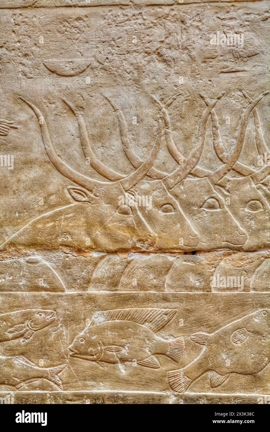 Mastaba komplex -Fotos und -Bildmaterial in hoher Auflösung – Alamy