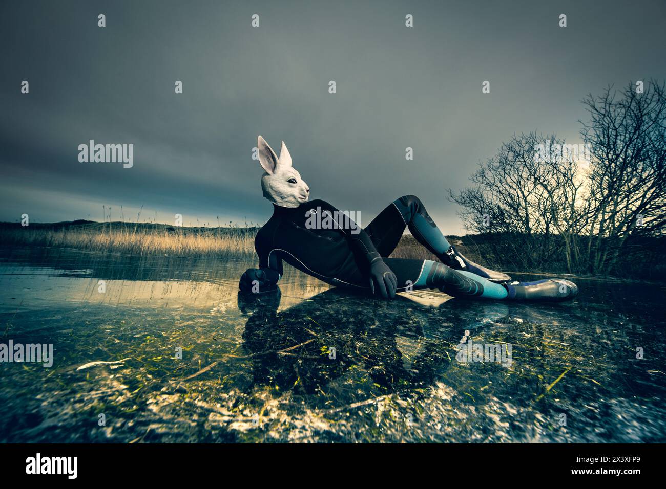 Halb tier -Fotos und -Bildmaterial in hoher Auflösung – Alamy