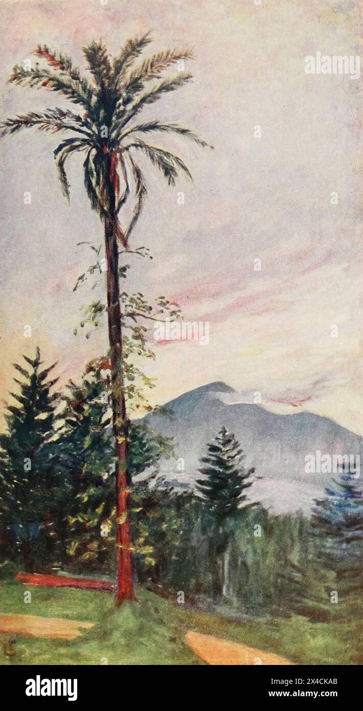 Blick vom Gelände der Villa ANTONIETTA, QUSISANA, heute bekannt als ...