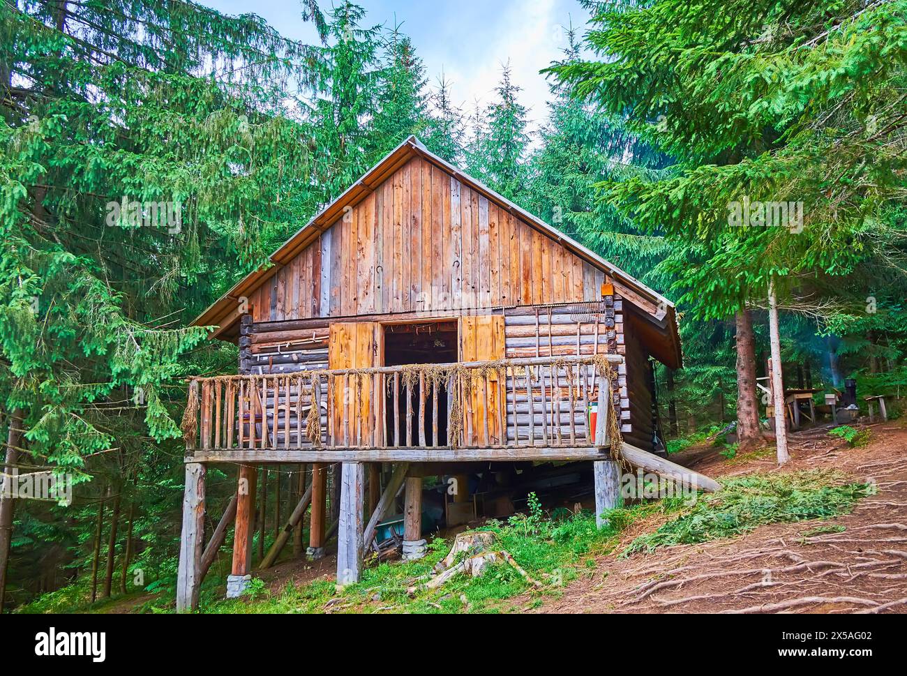 Das alte Holzpfahlhaus der Molfar (Zauberer, Kräuterheiler), befindet ...