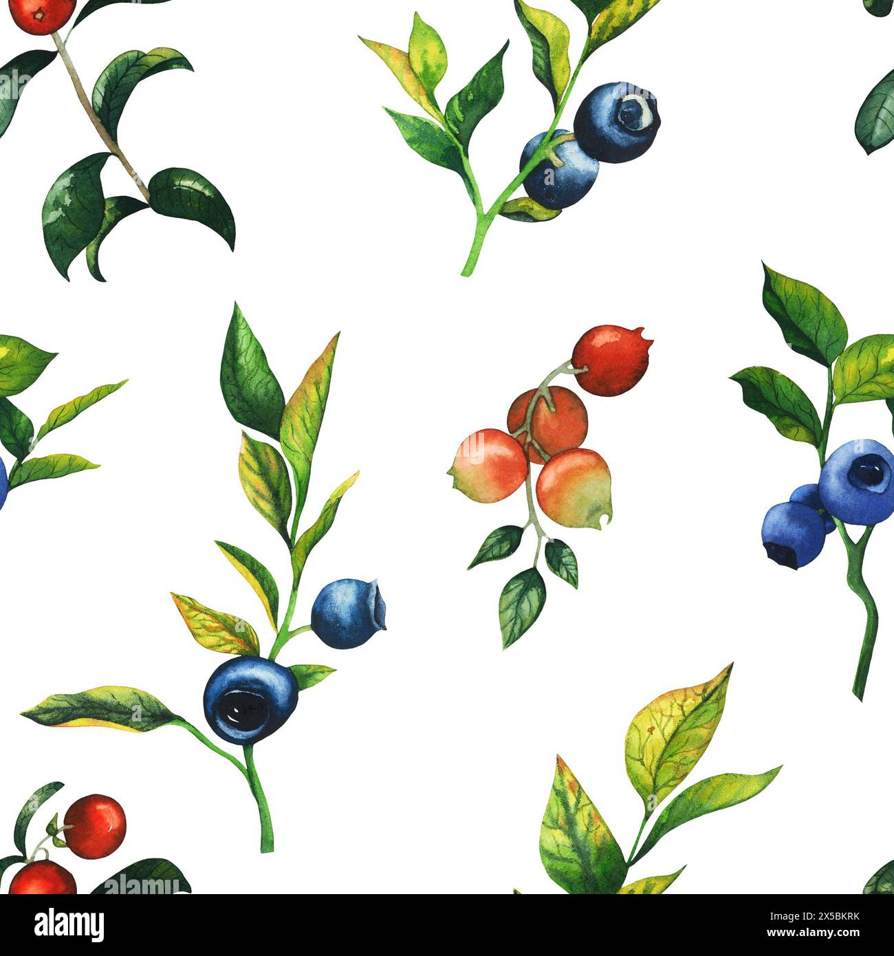 Heidelbeere obst zeichnung -Fotos und -Bildmaterial in hoher Auflösung ...