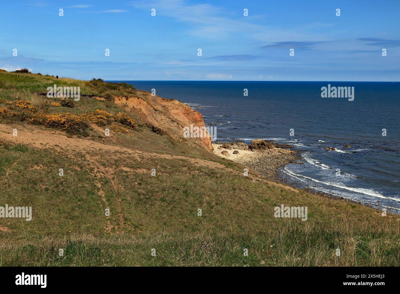 Blick vom Coastal Path entlang der Nordostküste Englands zwischen ...