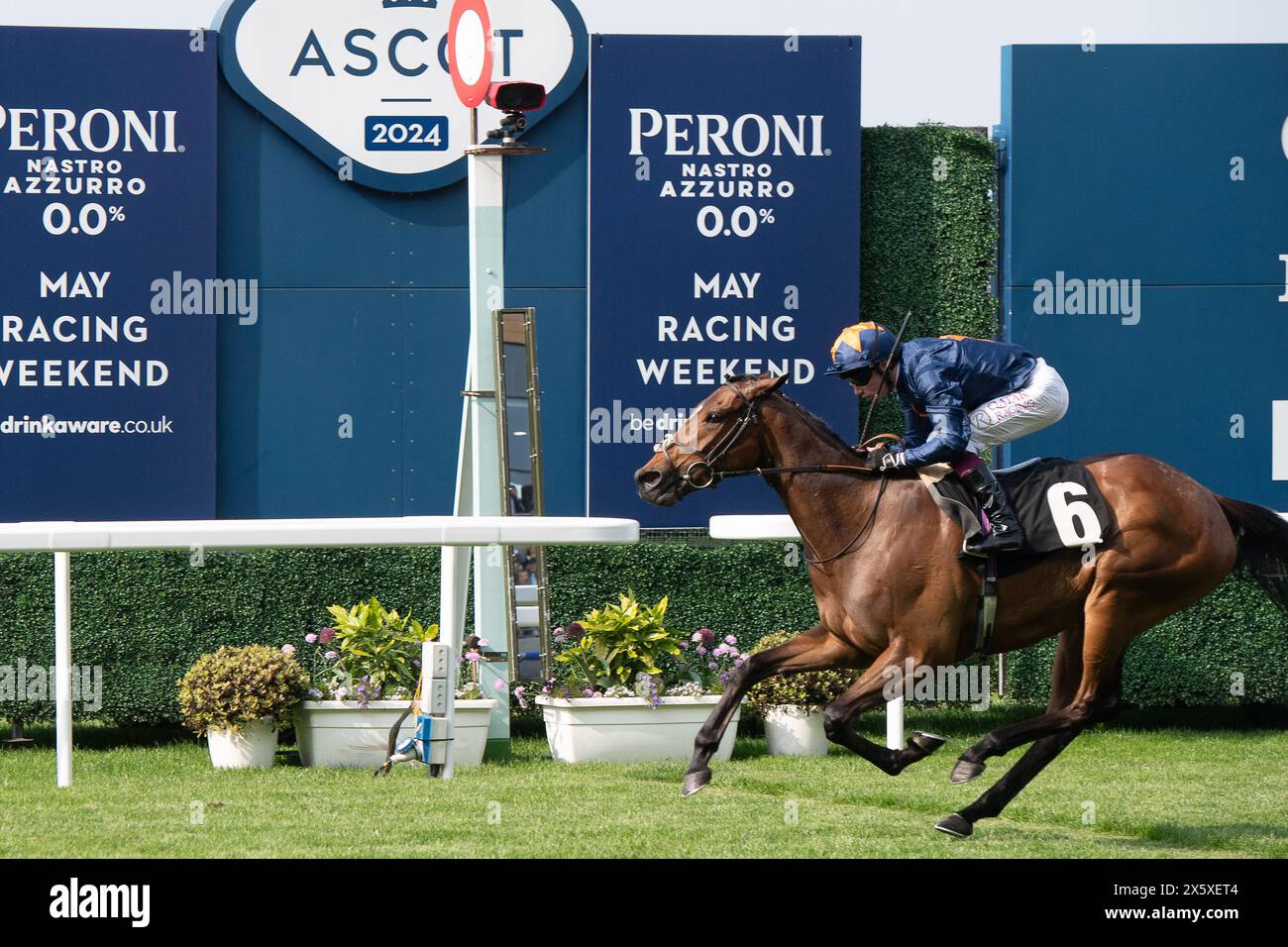 Ascot, Berkshire, Großbritannien. Mai 2024. Horse Warda Jamila ...