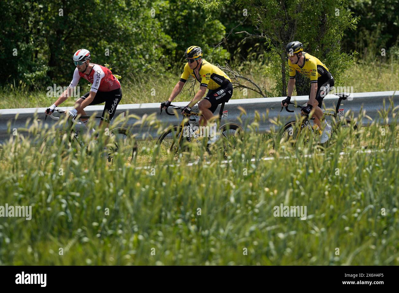 Italia. Mai 2024. Champion Thomas (Team Cofidis), Van Dijke Tim (Team ...