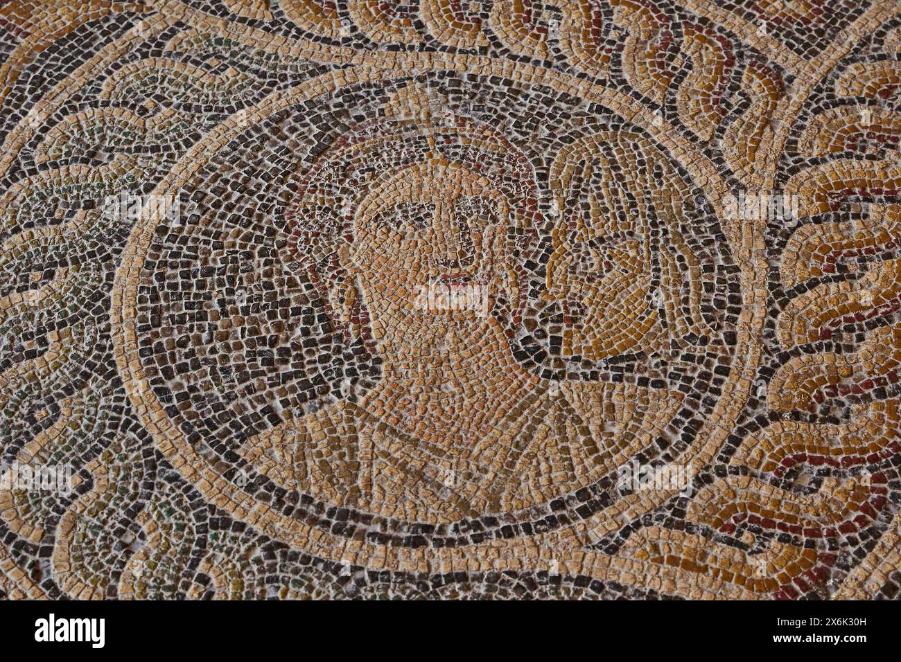 Mosaik der neun musen -Fotos und -Bildmaterial in hoher Auflösung – Alamy