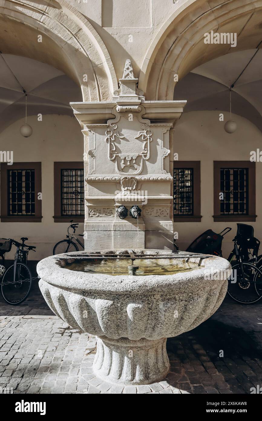 Brunnen see luzern -Fotos und -Bildmaterial in hoher Auflösung – Alamy