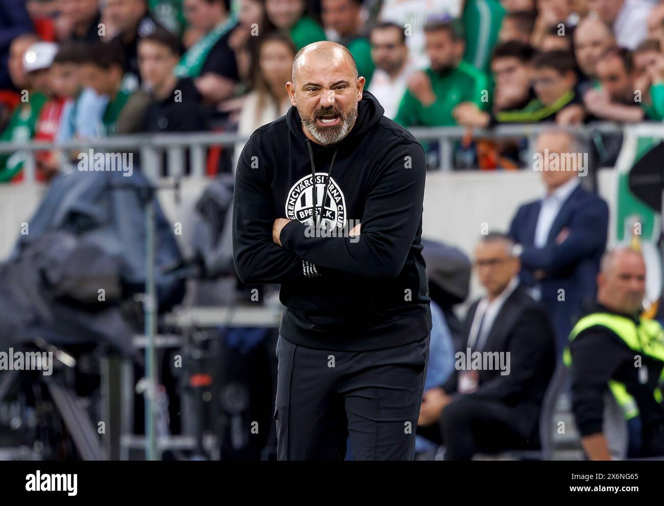 Budapest, Ungarn. Mai 2024. Dejan Stankovic, Cheftrainer von Ferencvarosi TC, reagiert am 15 ...