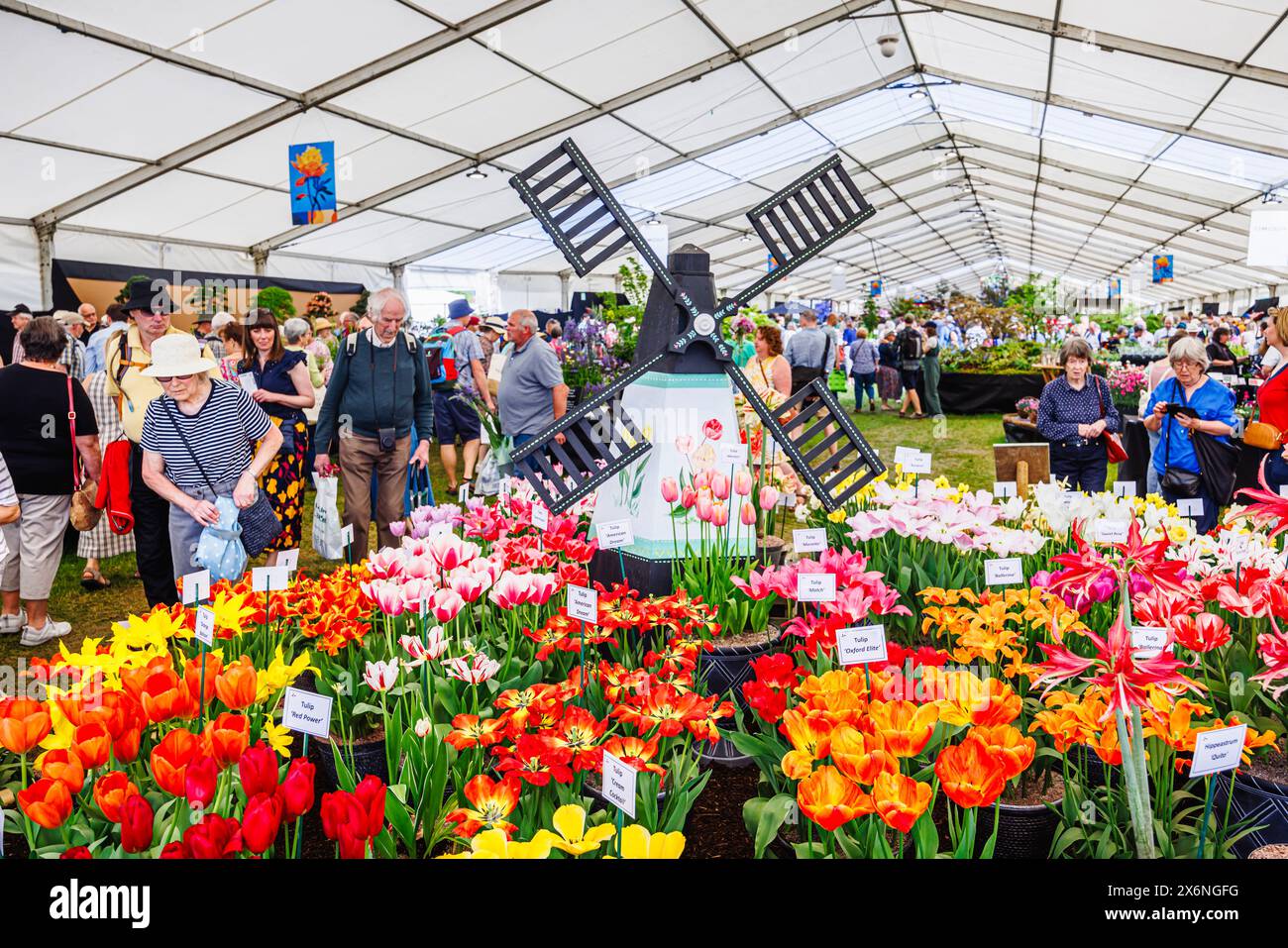 Im Floral Marquee, RHS Malvern Spring Festival auf dem Three Counties Showground, Malvern ...